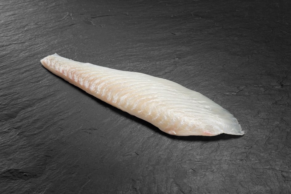 Filet de turbot sans peau acheter chez LUMA Delikatessen